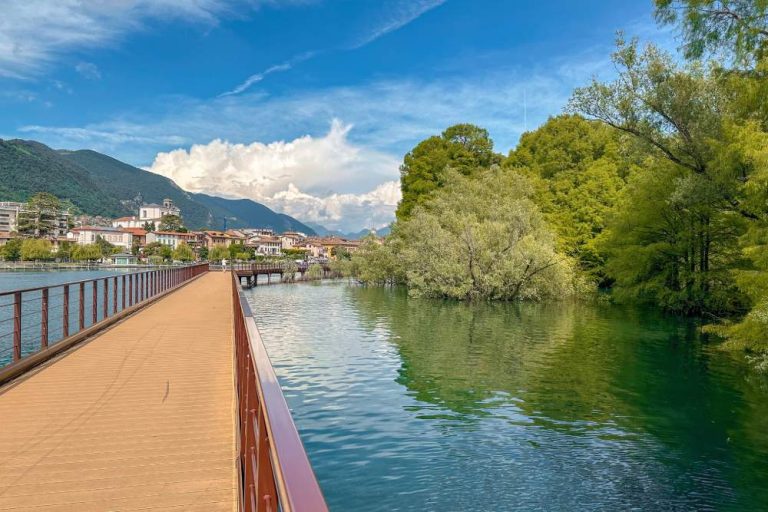 Bosco dei Taxodi a Paratico: cosa vedere sul Lago d'Iseo